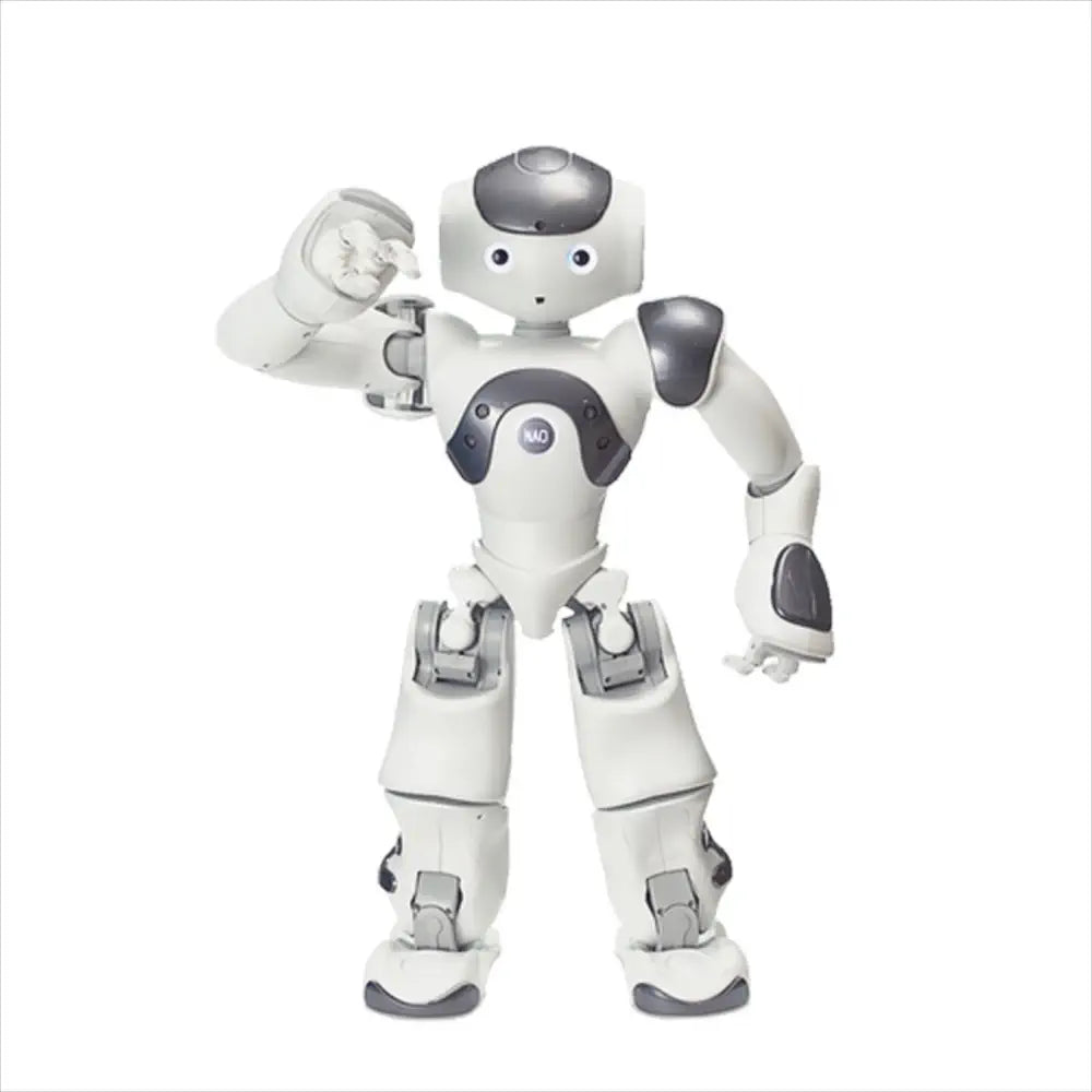 ZoraBots Nao V6 w/ Zora Solution - RobotShop